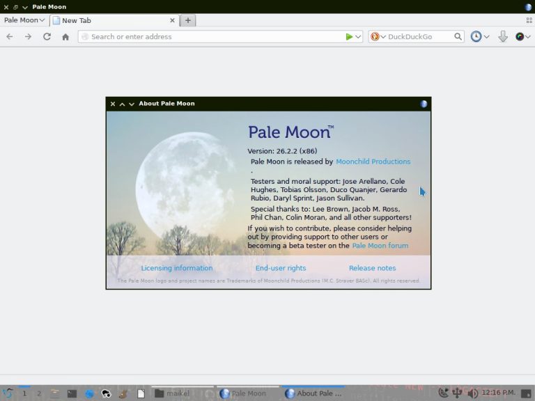 Pale Moon, navegador Web basado en Firefox | GUTL